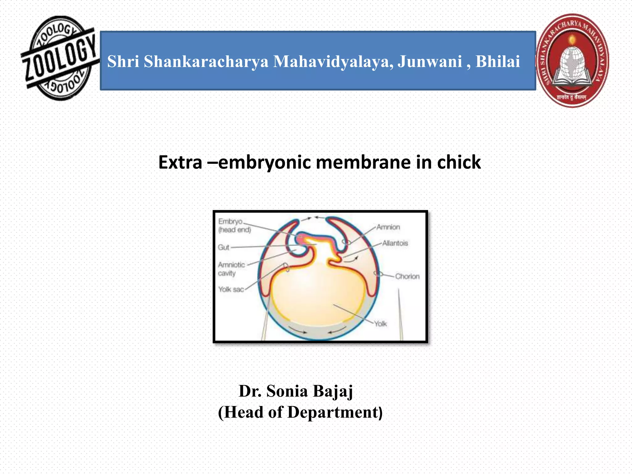 Extra embryonic membrane in chick, Types, Developments, Functions | PPTX