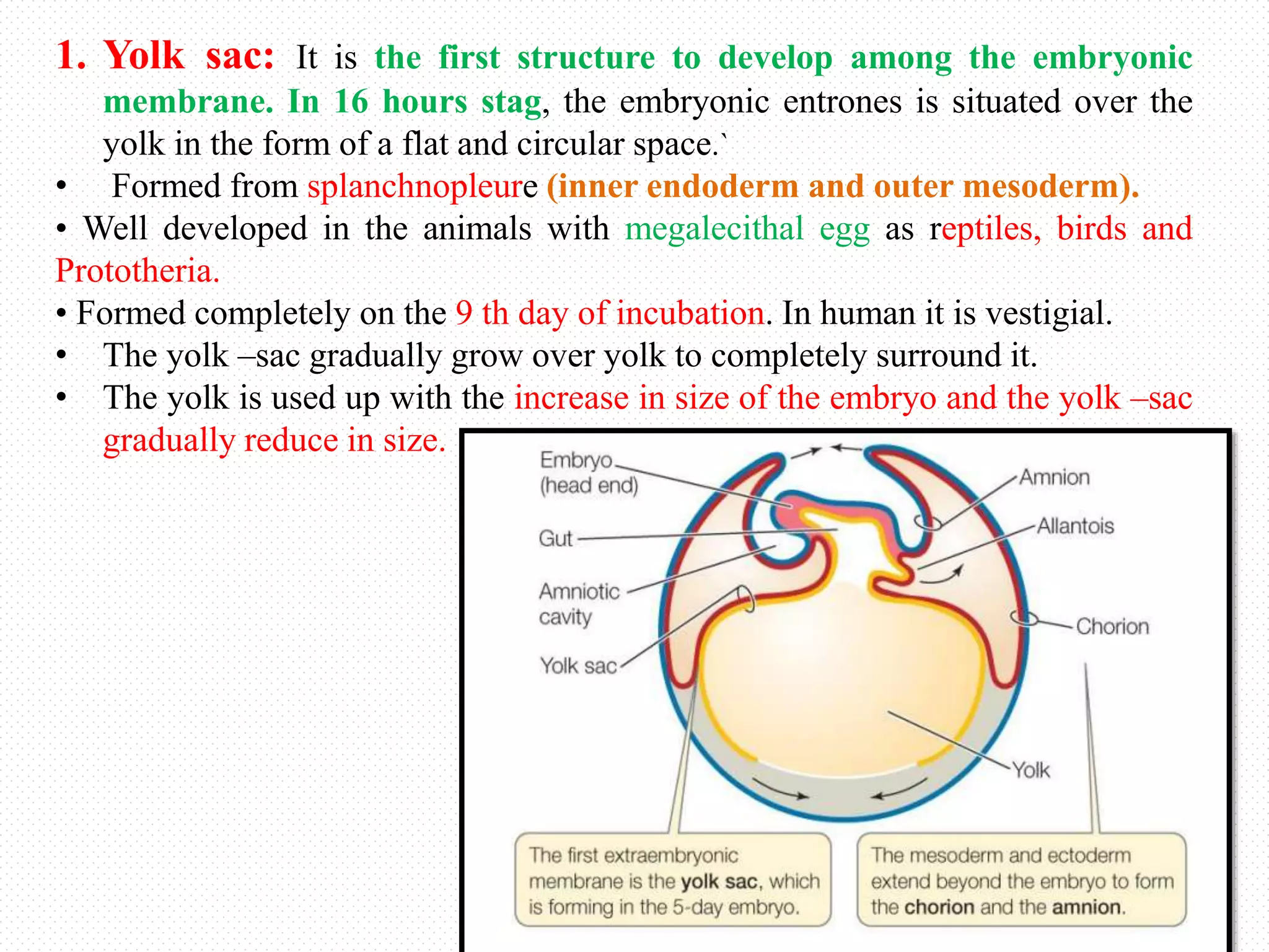 Extra embryonic membrane in chick, Types, Developments, Functions | PPTX