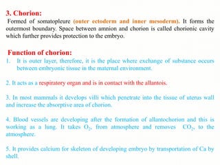 Extra embryonic membrane in chick, Types, Developments, Functions | PPTX