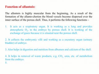 Extra embryonic membrane in chick, Types, Developments, Functions | PPTX