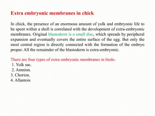 Extra embryonic membrane in chick, Types, Developments, Functions ...