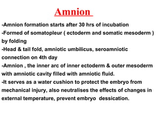 Extra embryonic membranes | PPT