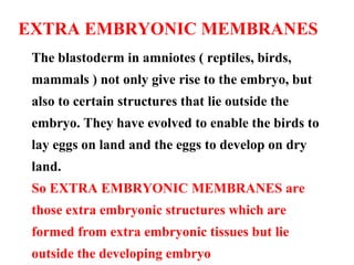 Extra embryonic membranes | PPT
