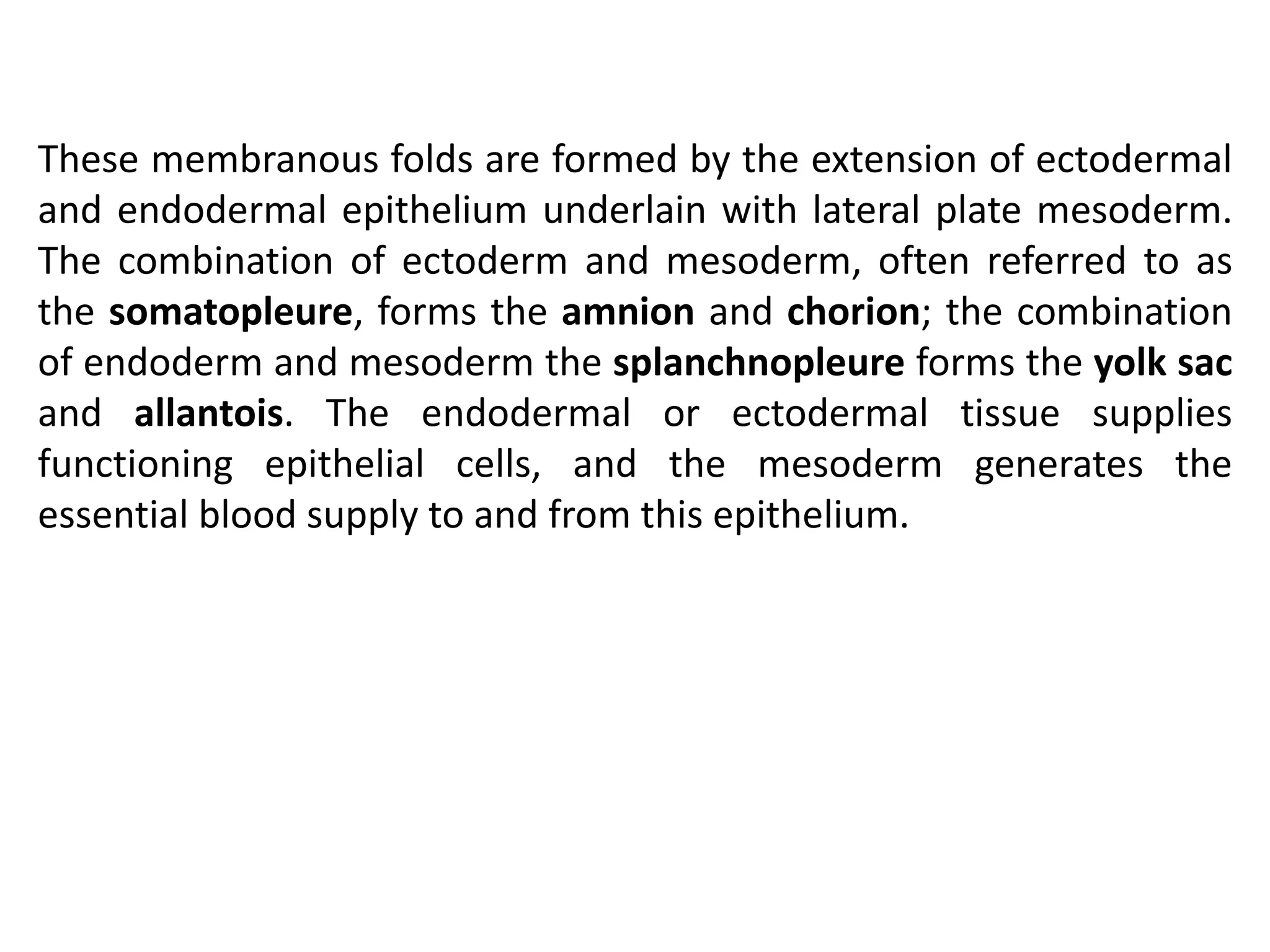 Extra embryonic membranes amniotes | PPTX