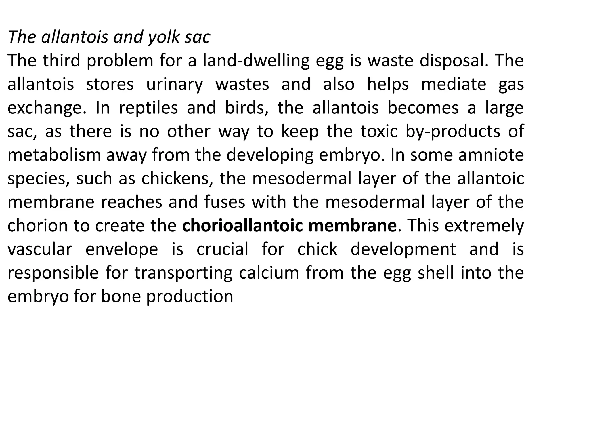 Extra embryonic membranes amniotes | PPTX