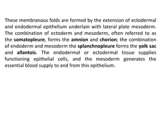 Extra embryonic membranes amniotes | PPTX