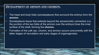 Extra embryonic structures | PPTX