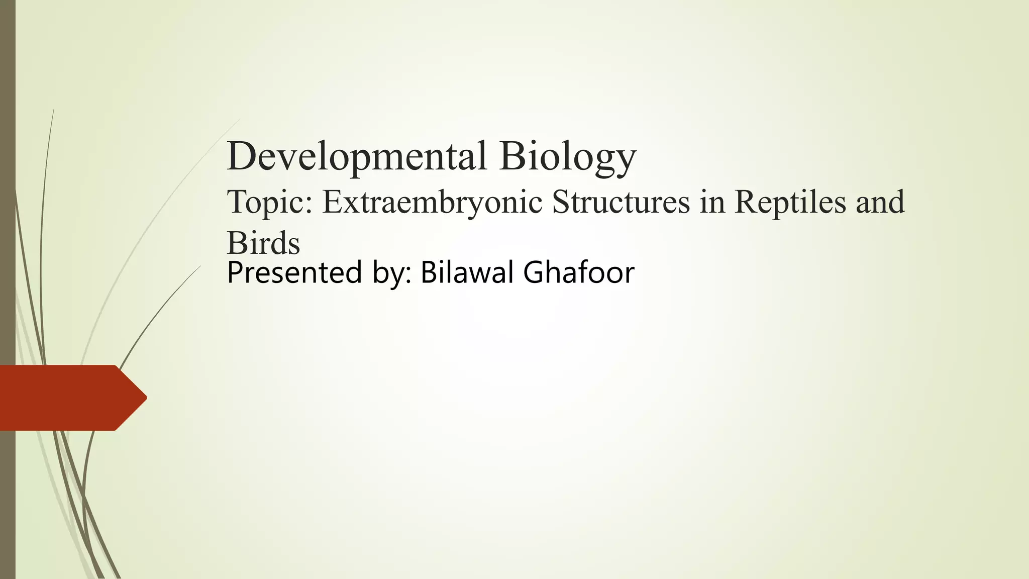 Extraembryonic structures in reptiles and birds | PPTX