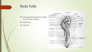 Extraembryonic structures in reptiles and birds | PPTX