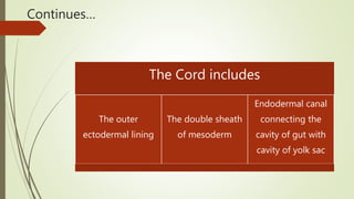 Extraembryonic structures in reptiles and birds | PPTX