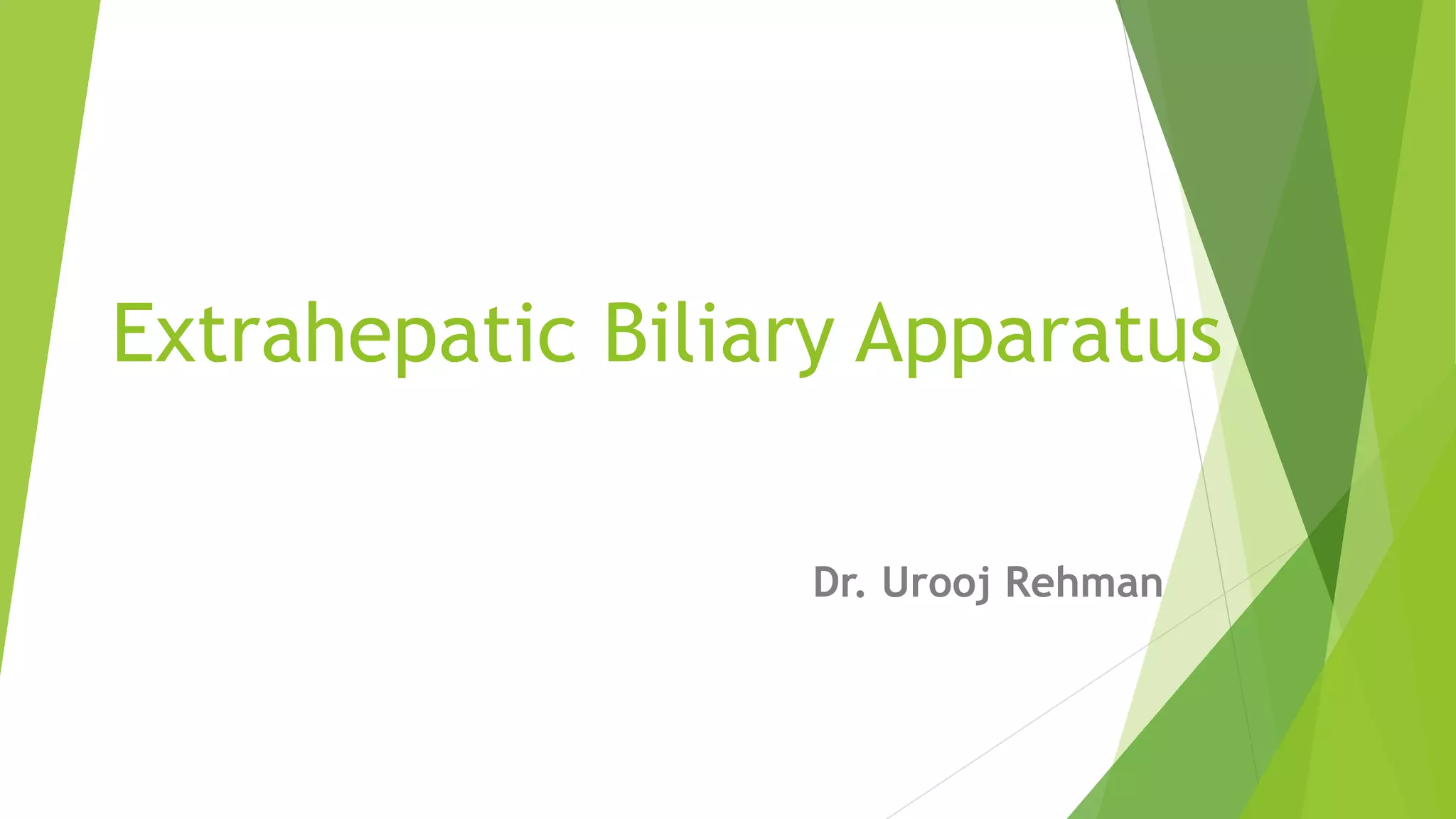 Extrahepatic Biliary Apparatus | PPTX