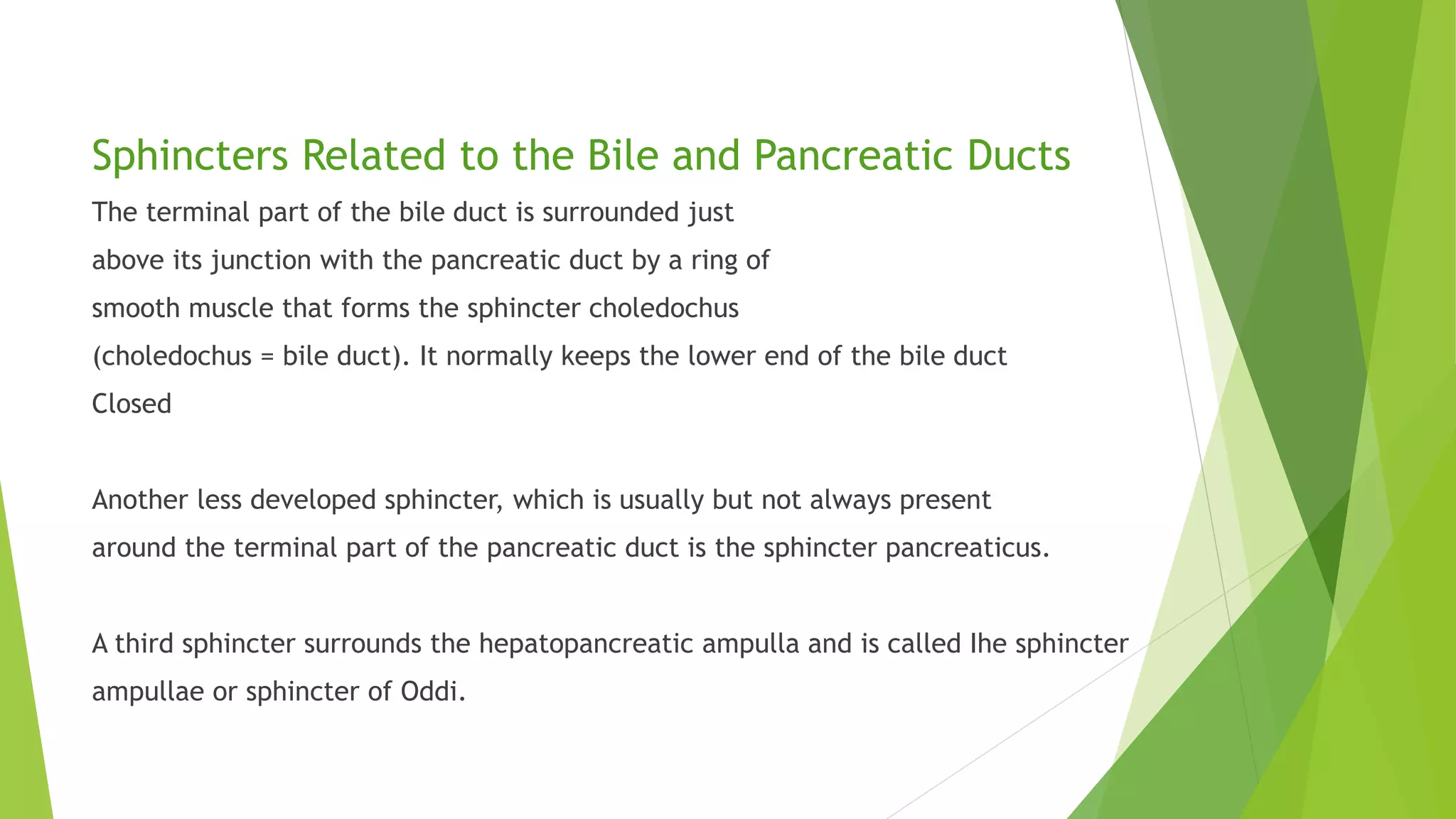 Extrahepatic Biliary Apparatus | PPTX