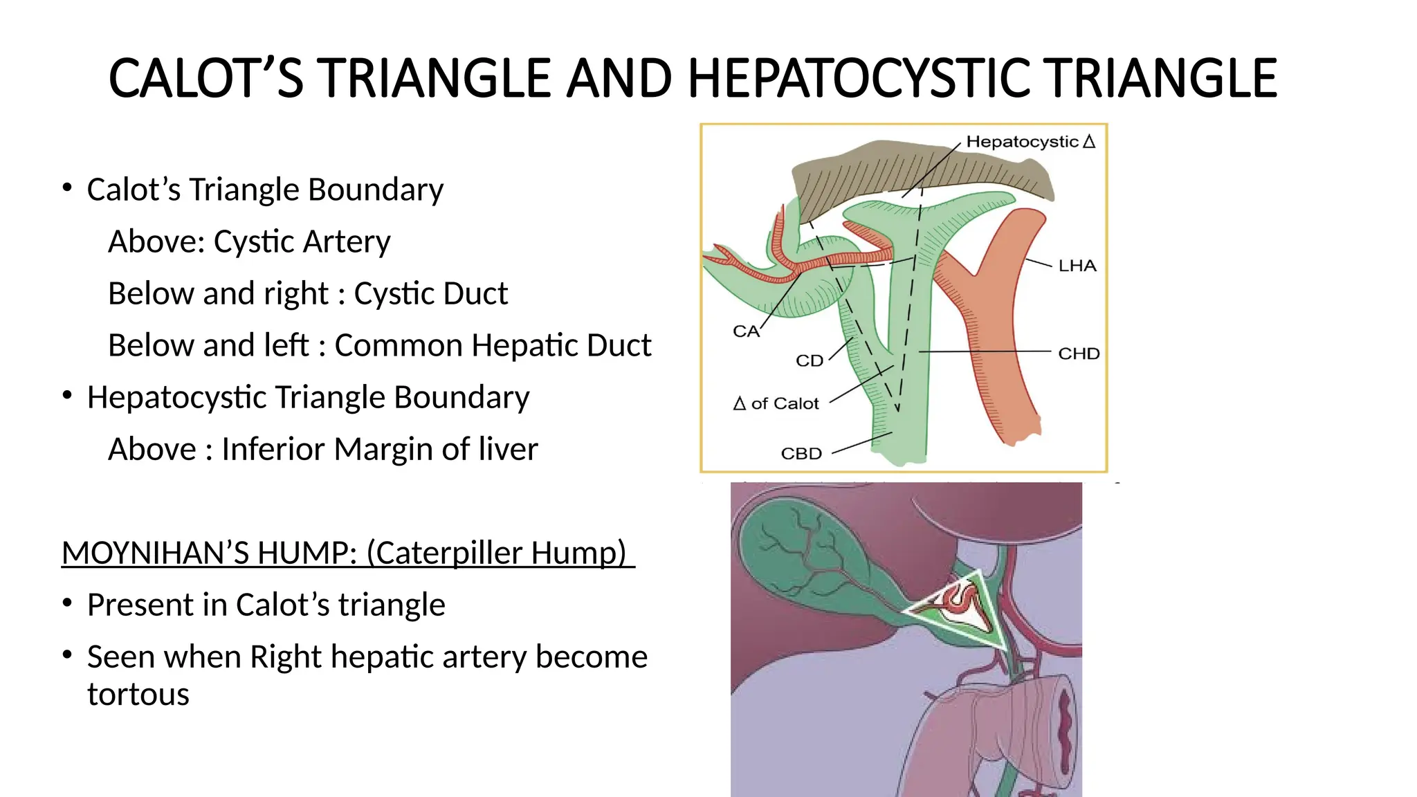 EXTRAHEPATIC BILIARY ATRESIA Introduction.pptx