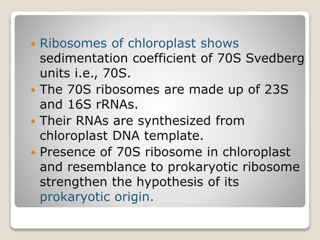 Extra nuclear genome.power point presentation | PPTX | Biological ...
