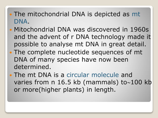 Extra nuclear genome.power point presentation | PPTX | Biological ...