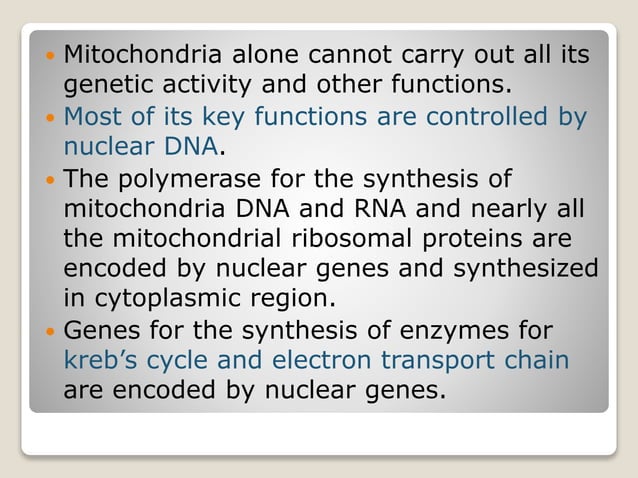 Extra nuclear genome.power point presentation | PPTX | Biological ...