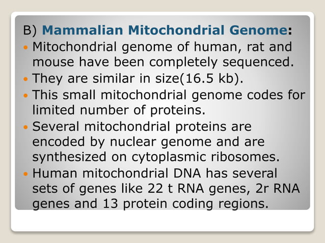 Extra nuclear genome.power point presentation | PPTX | Biological ...