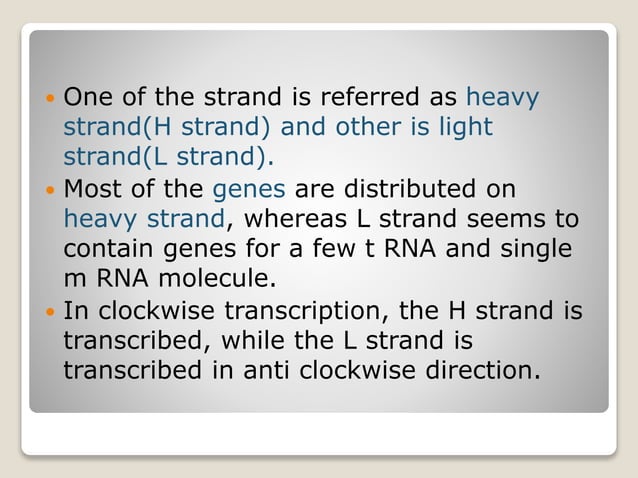Extra nuclear genome.power point presentation | PPTX | Biological ...