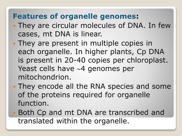 Extra nuclear genome.power point presentation | PPTX | Biological ...