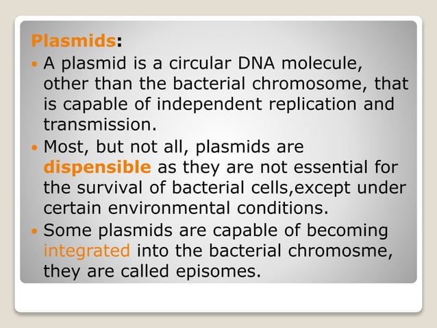 Extra nuclear genome.power point presentation | PPTX | Biological ...