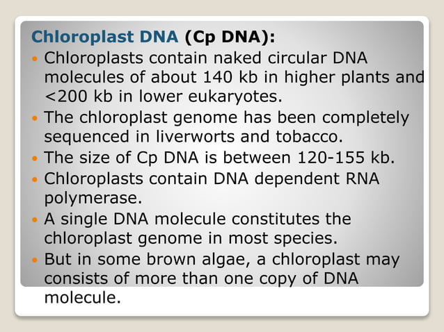 Extra nuclear genome.power point presentation | PPTX | Biological ...