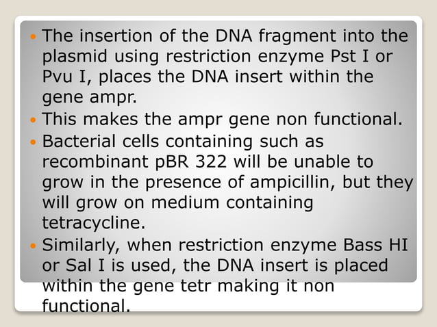 Extra nuclear genome.power point presentation | PPTX | Biological ...