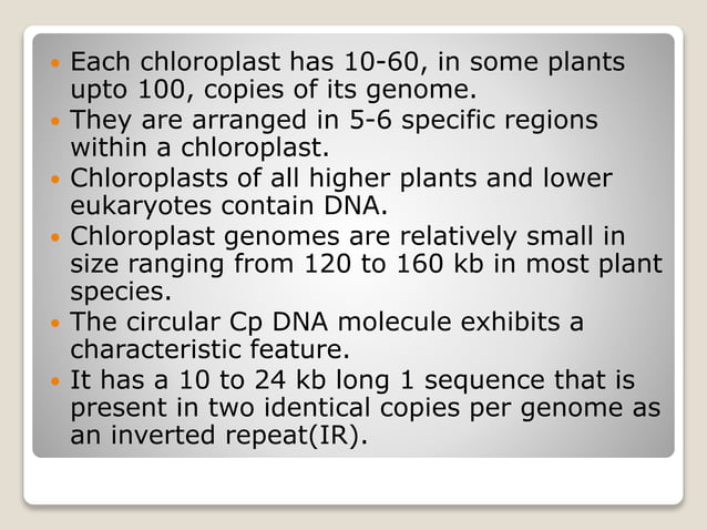 Extra nuclear genome.power point presentation | PPTX | Biological ...