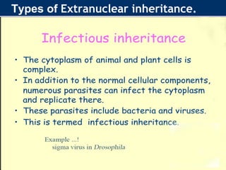 Extranuclear inheritance | PPT