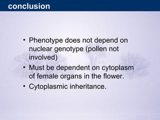 Extranuclear inheritance | PPT