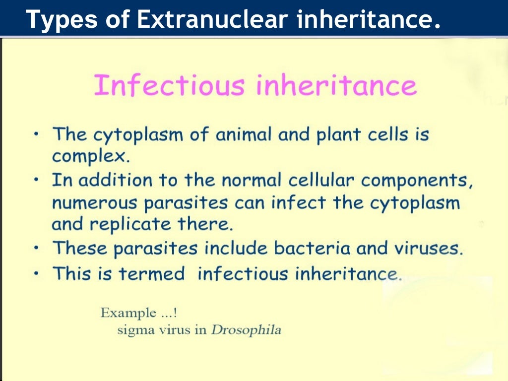 Extranuclear inheritance