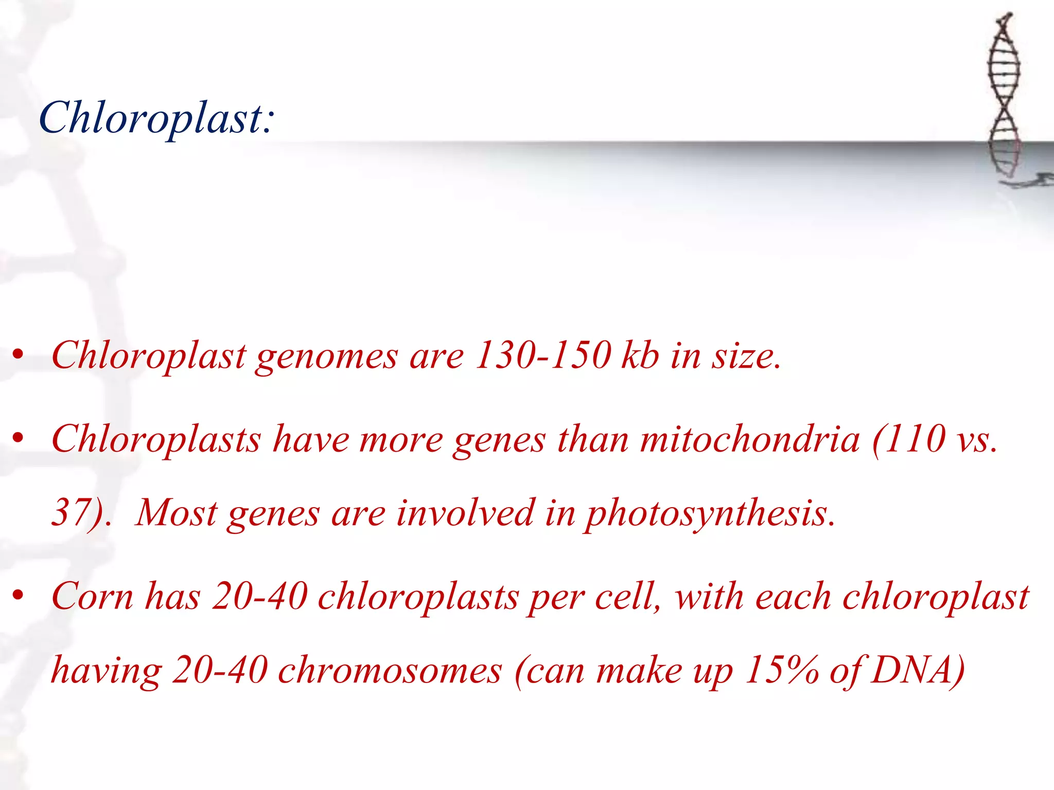 Extra nuclear inheritance | PPTX