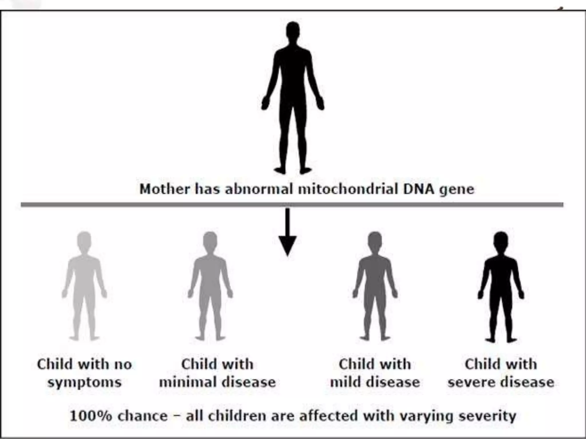 Extra nuclear inheritance | PPTX