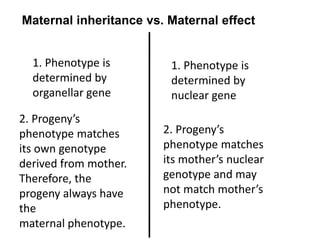 Extranuclear_inheritance.pptx