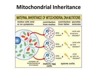 Extranuclear_inheritance.pptx