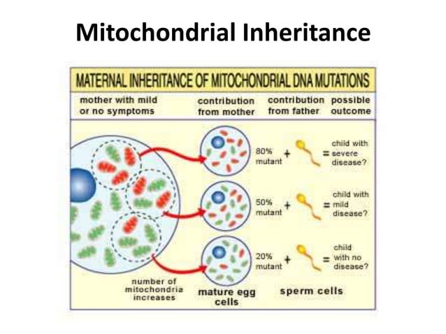 Extranuclear_inheritance.pptx