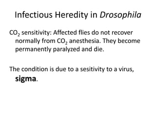 Extranuclear_inheritance.pptx