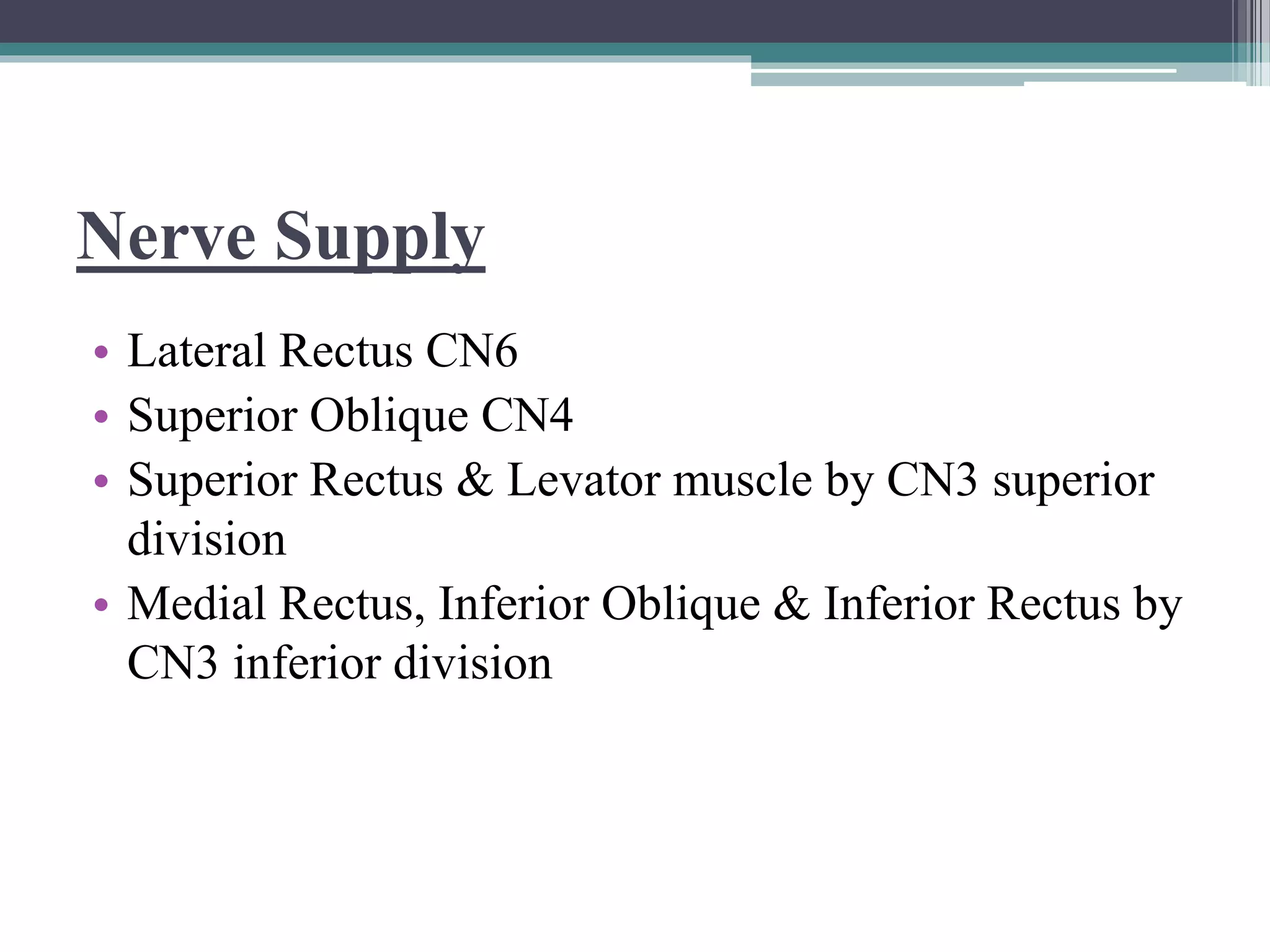 Extraoclar muscles (Anatomy & physiology) | PPTX