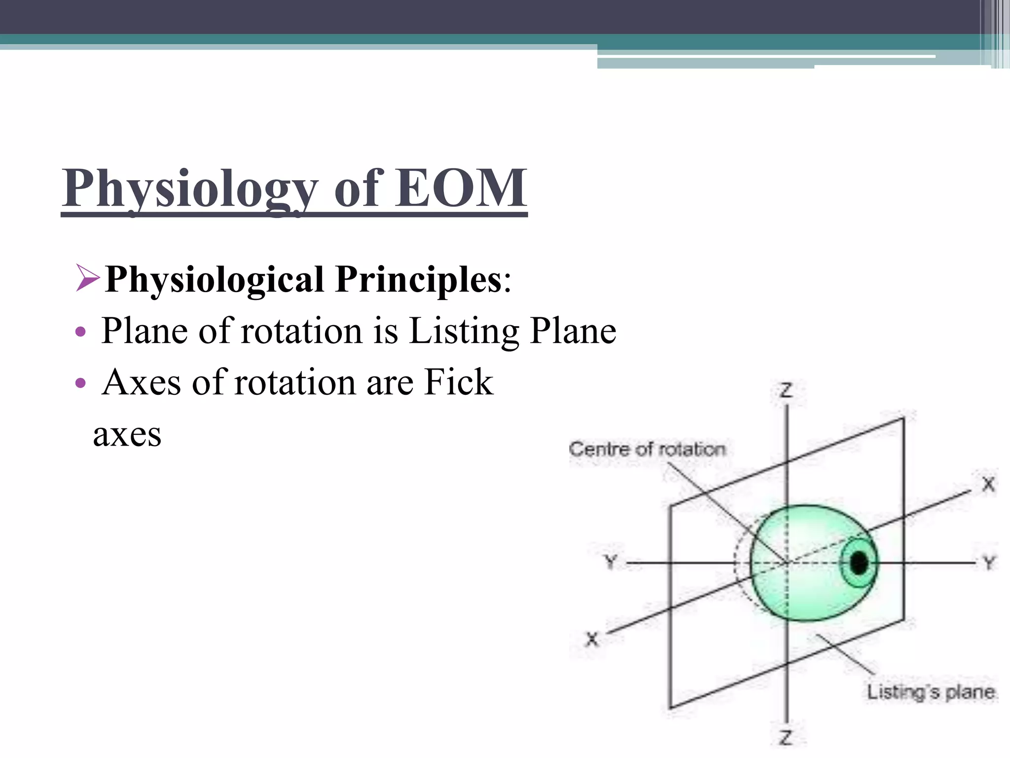 Extraoclar muscles (Anatomy & physiology) | PPTX