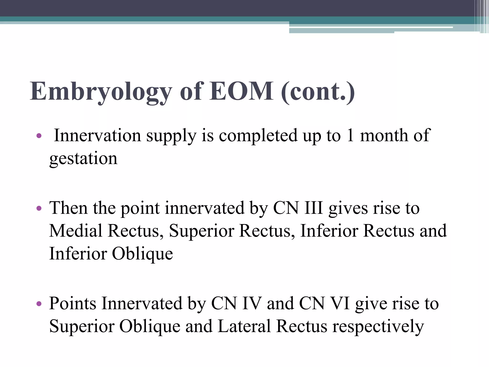 Extraoclar muscles (Anatomy & physiology) | PPTX