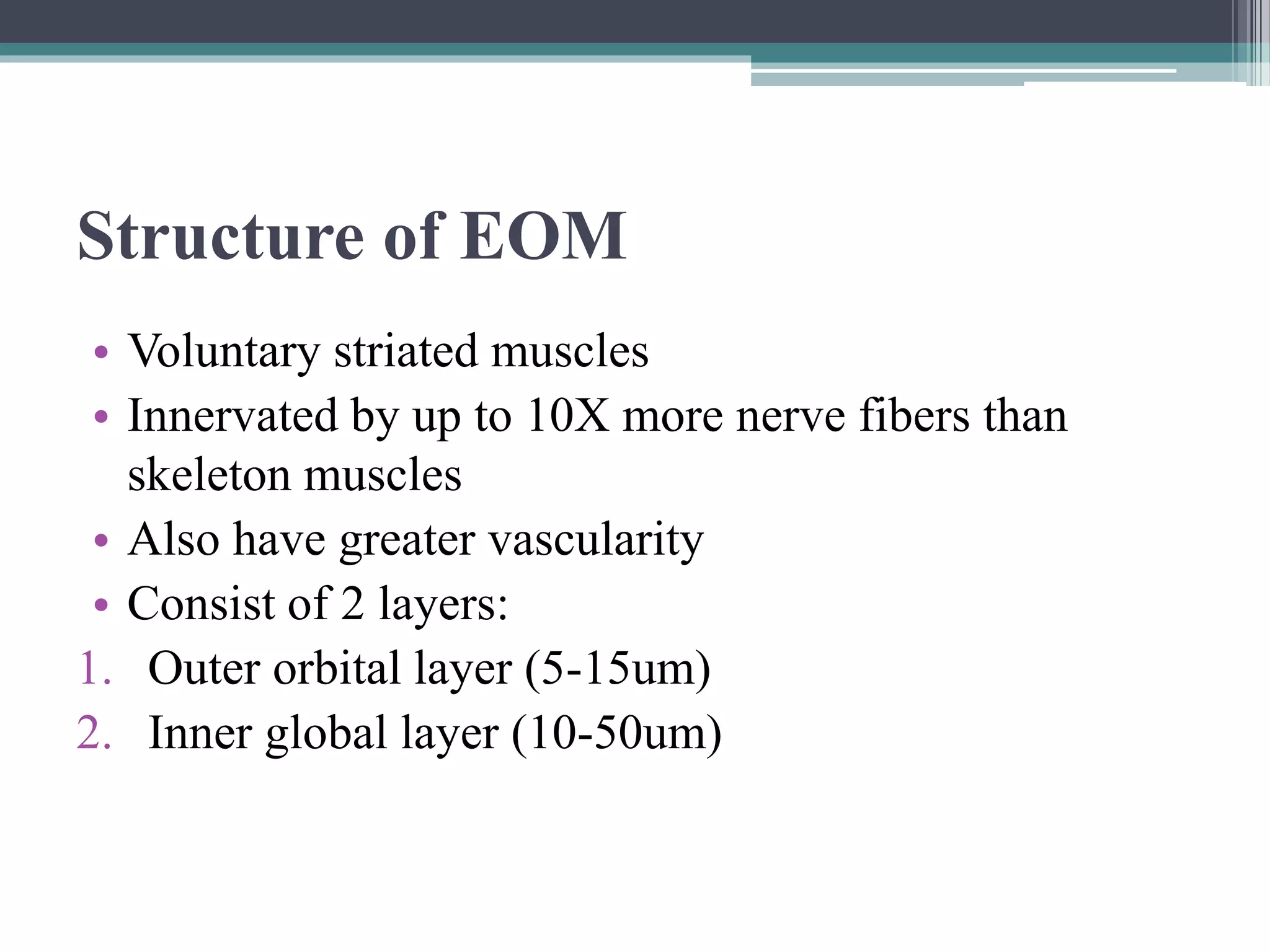 Extraoclar muscles (Anatomy & physiology) | PPTX