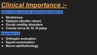 Extra ocular muscle Notes OPTOMETRY/.pdf