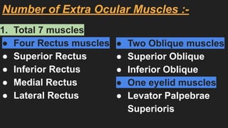 Extra ocular muscle Notes OPTOMETRY/.pdf
