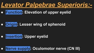 Extra ocular muscle Notes OPTOMETRY/.pdf
