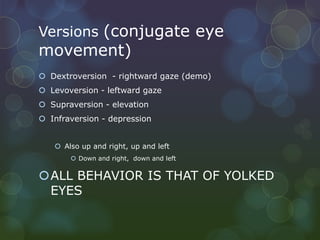 Extraocular muscles | PPTX