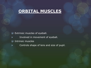 Extraocular muscles | PPTX