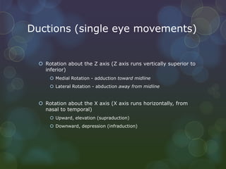 Extraocular muscles | PPTX