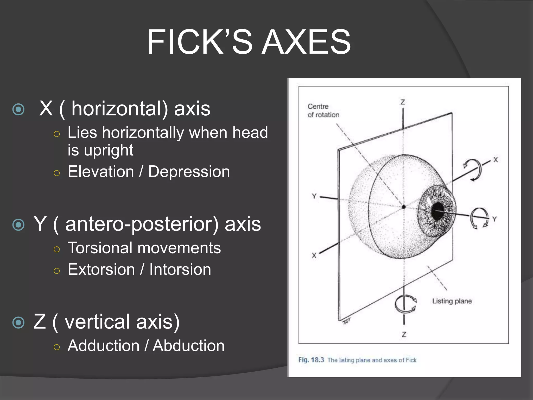 Extraocular muscles | PPTX