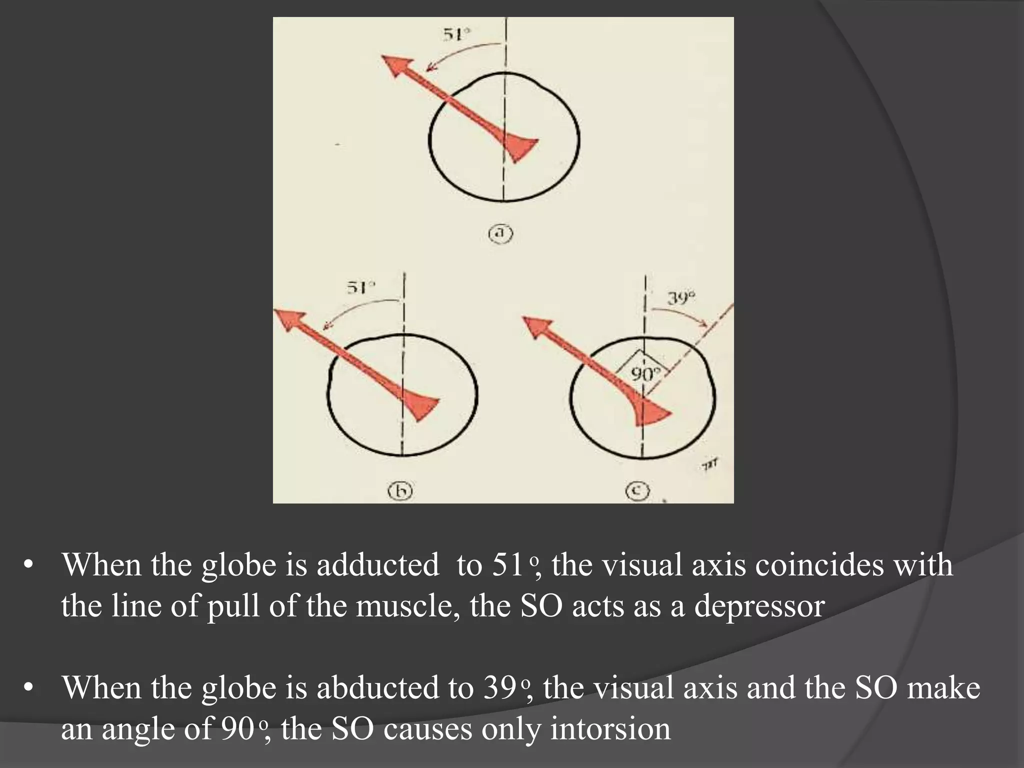 Extraocular muscles | PPTX