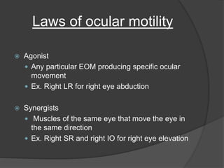 Extraocular muscles | PPTX