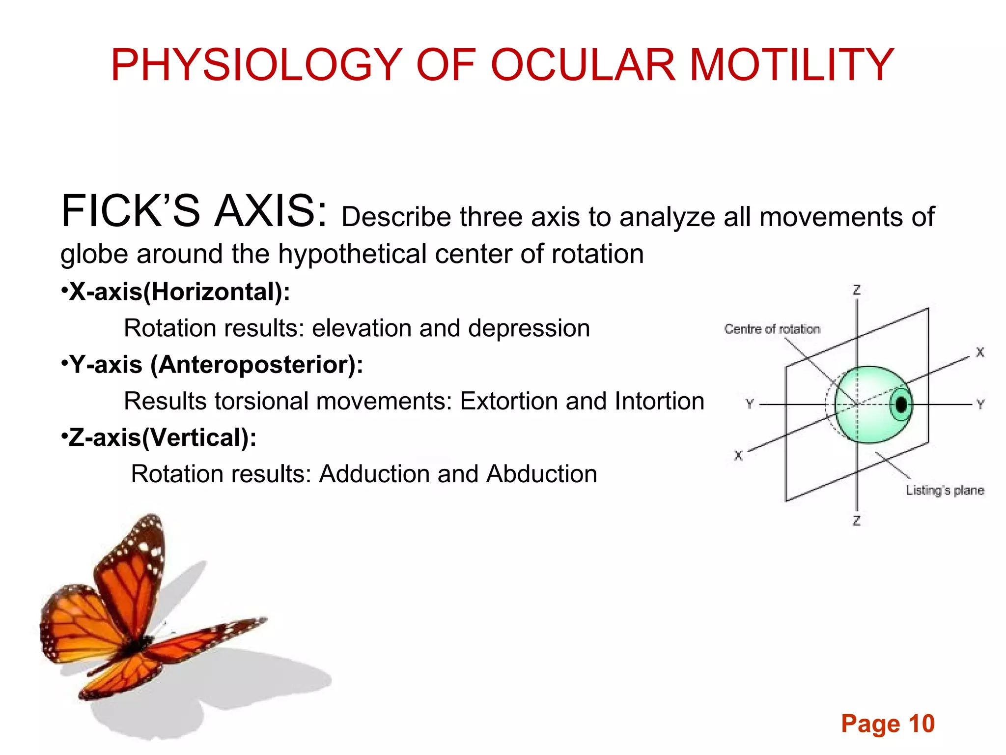 Extraocular muscles | PPT